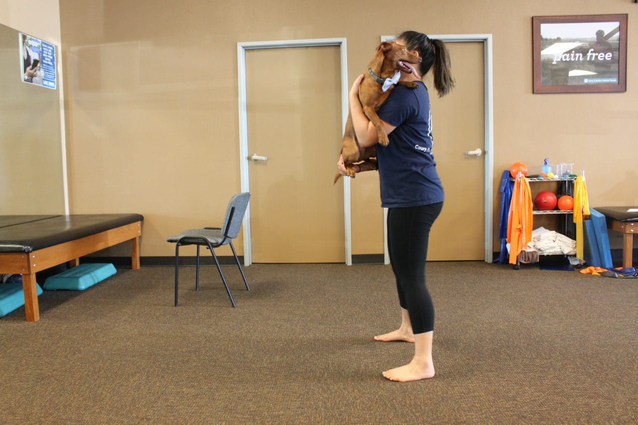 Fun Workouts with Your BFF (Best Furry Friend) - Coury & Buehler ...