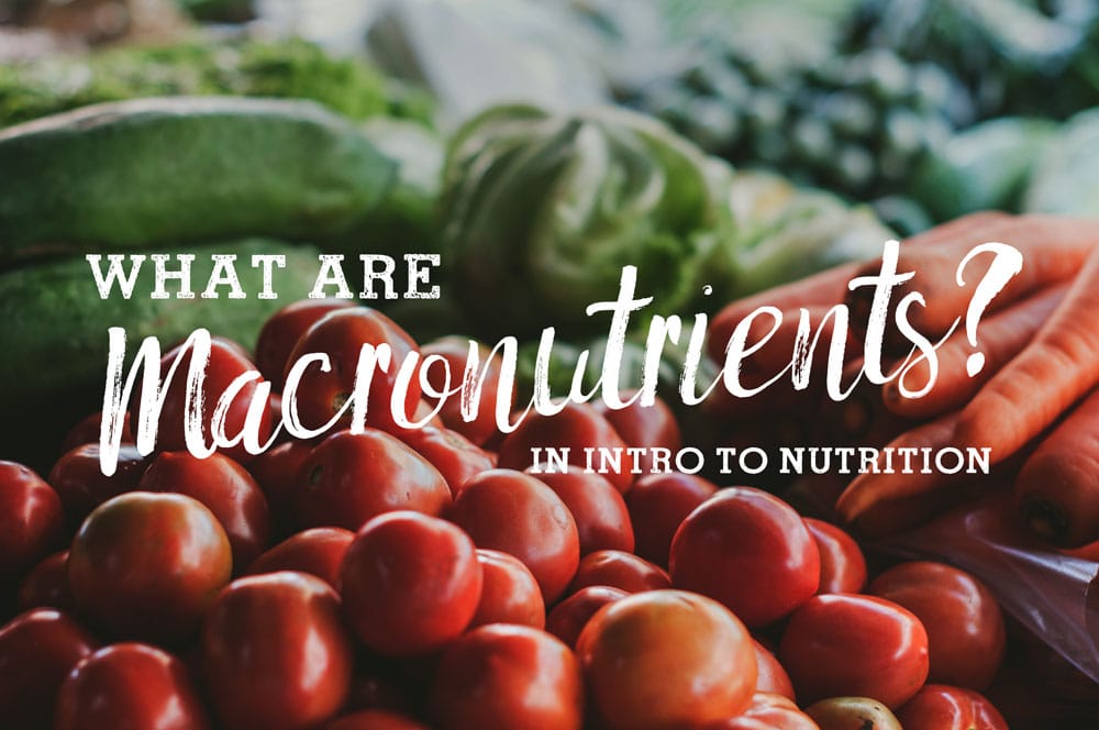 What are Macronutrients? An Intro to Nutrition - Coury & Buehler ...