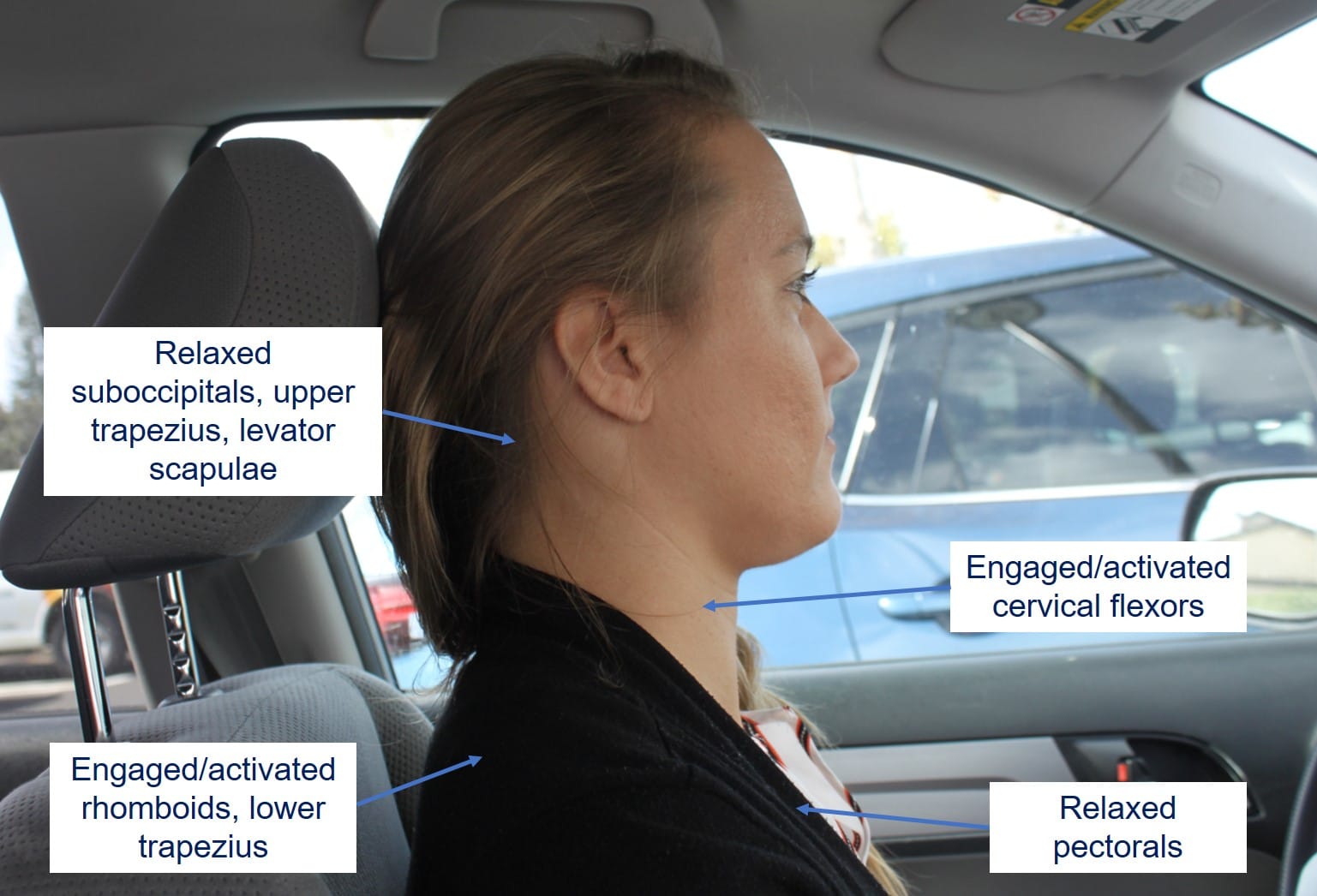 Car posture_good_words - Coury & Buehler Physical Therapy